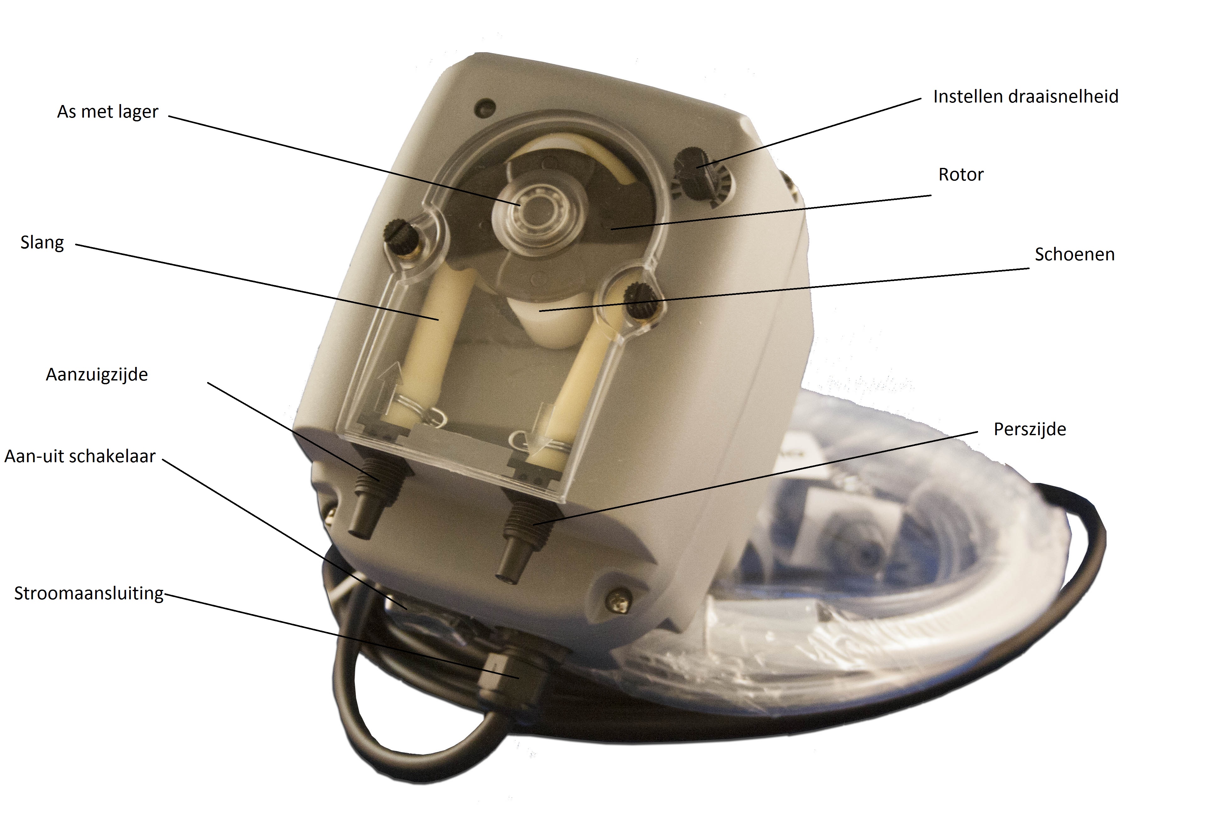 Hoe werkt een slangenpomp? - Slangenpomp